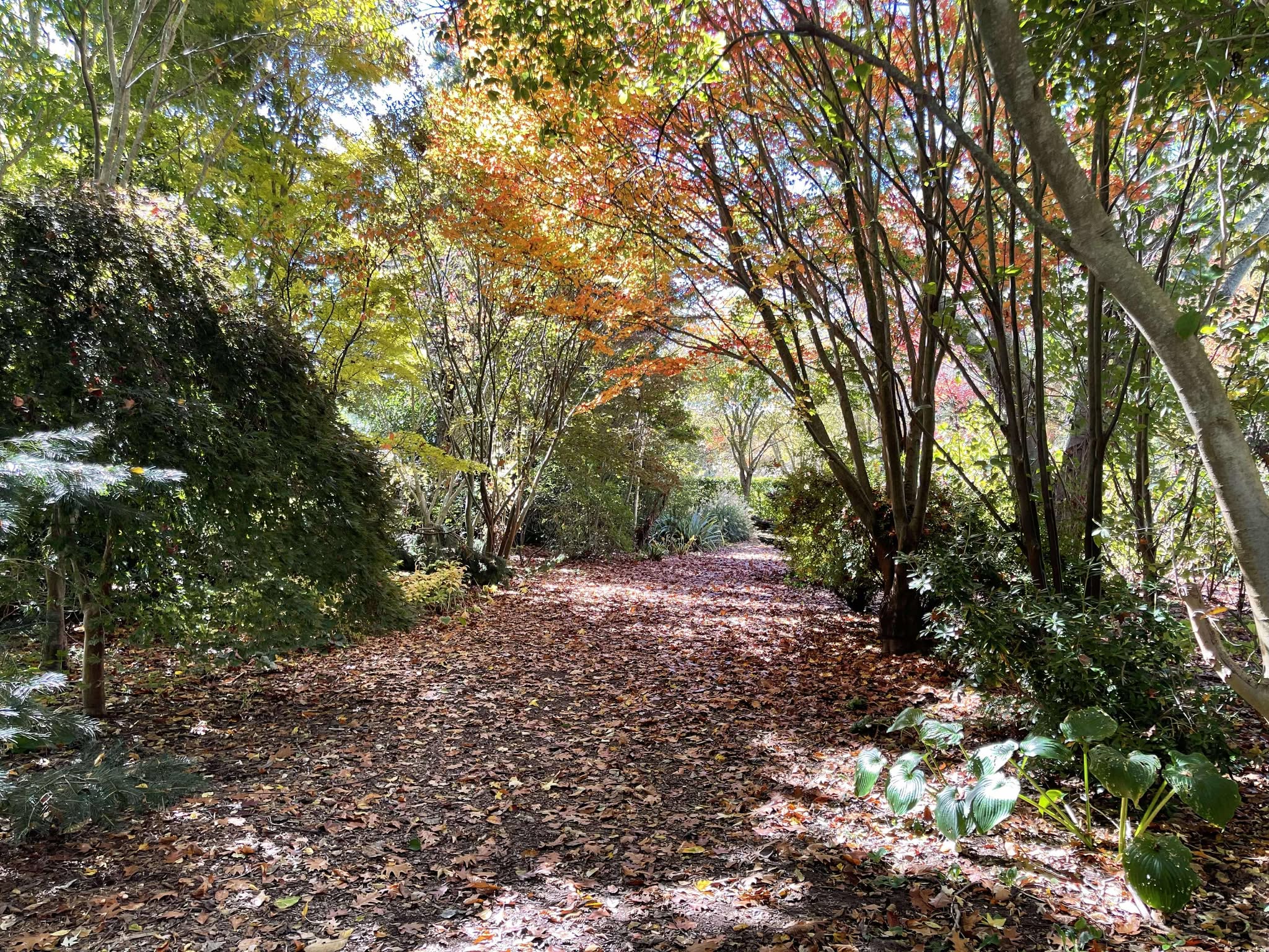 Ways to Celebrate Spring & Autumn Equinox